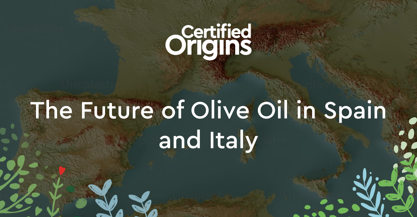 Probable Future Report - February 2025 | Certified Origins